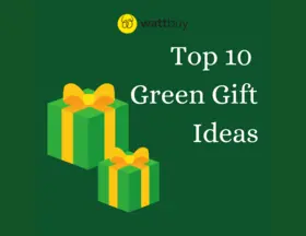 Go Green This Holiday Season With These 10 Renewable Gift Ideas ...